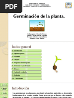 Proyecto-Señor Cabeza de Pasto | PDF