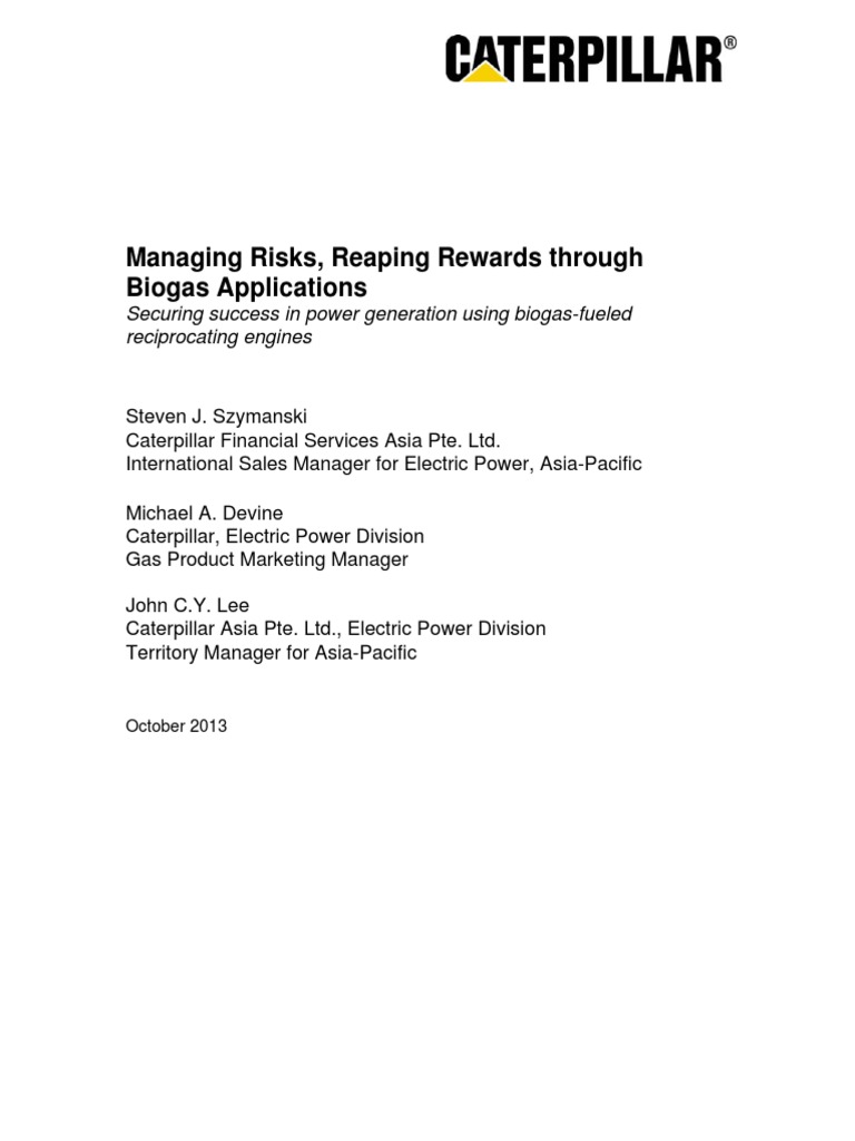 Managing Risks, Reaping Rewards Through | PDF | Biogas | Project Finance