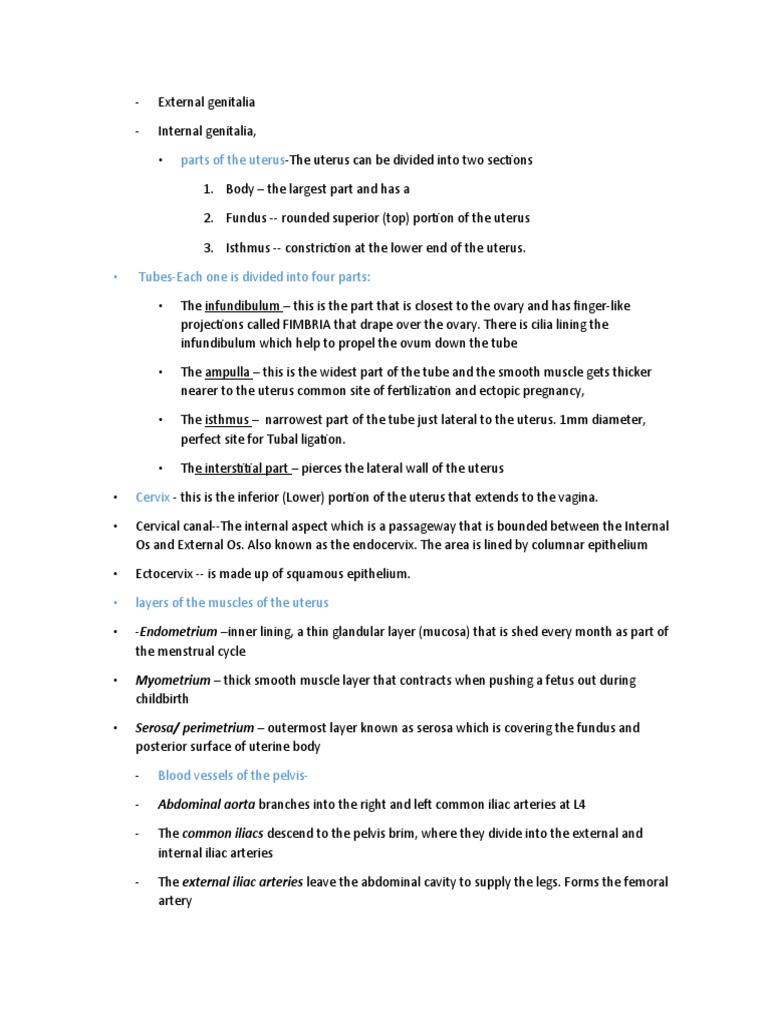 Parts of The Uterus: Myometrium - Thick Smooth Muscle Layer That ...