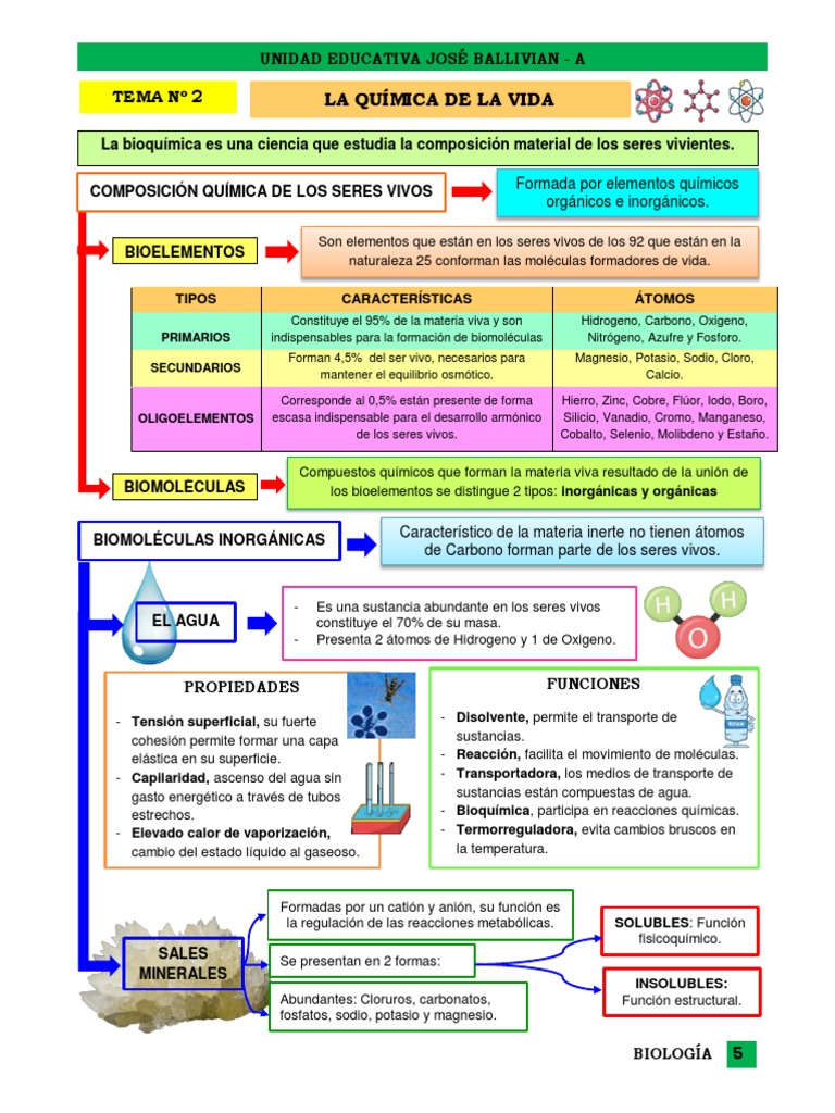 La Quimica de La Vida | PDF | Lípido | Proteínas