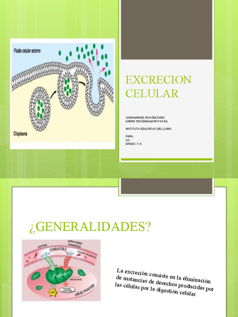 Excrecion Celular | PDF