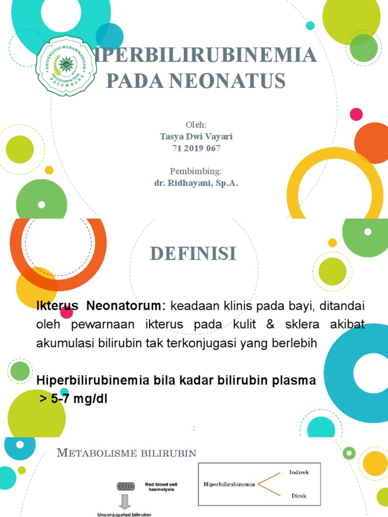 Hiperbilirubinemia Pada Neonatus | PDF
