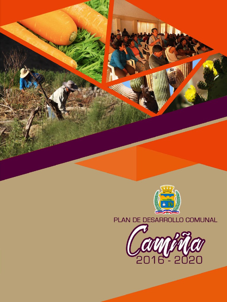 Pladeco Camiña 2016 2020 | PDF