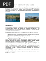 Relieve de La Selva Peruana | PDF | Perú | Andes