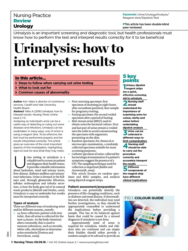 Urinalysis How To Interpret Results PDF | Download Free PDF | Urine ...