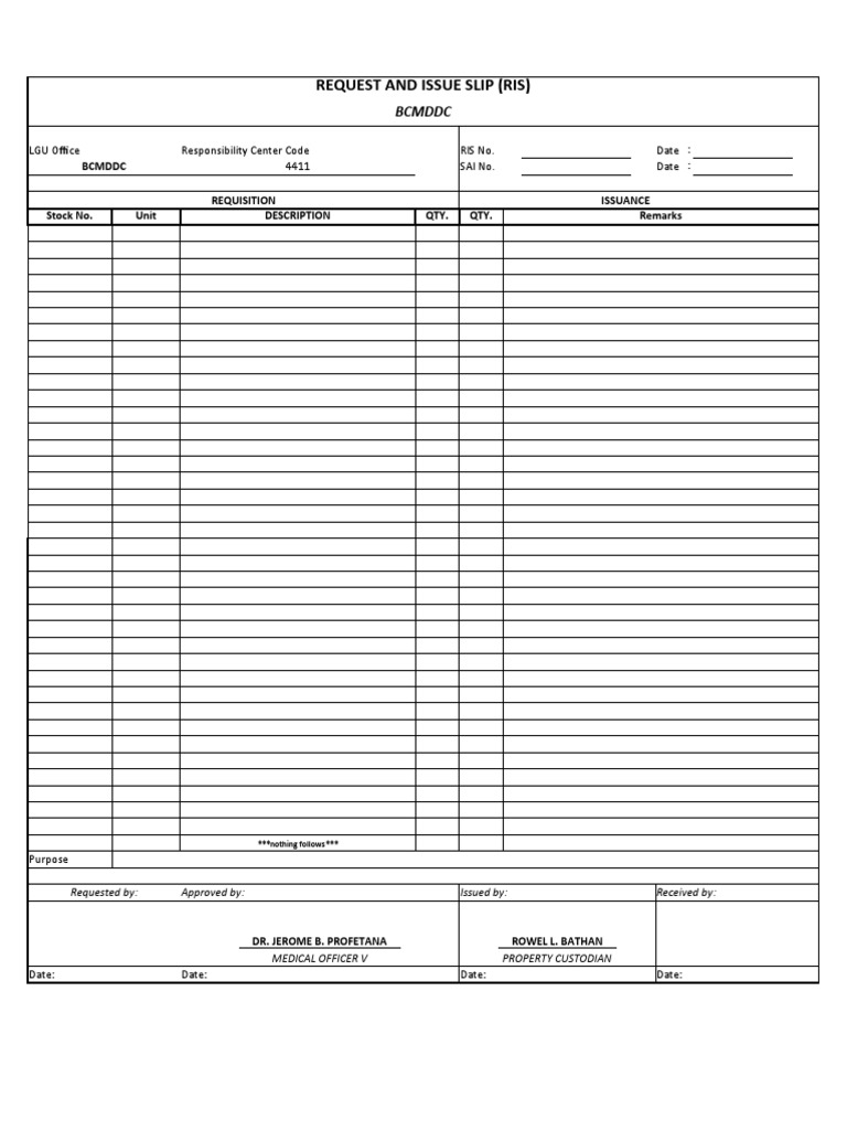 Request and Issue Slip (Ris) : BCMDDC | PDF
