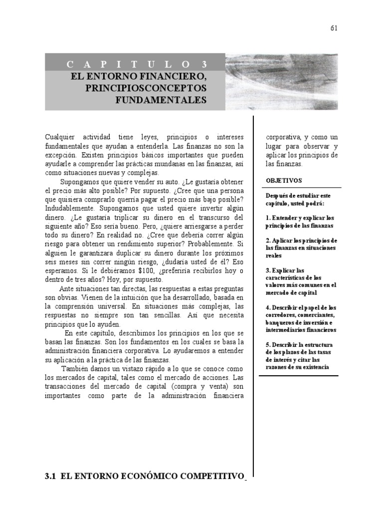 El Entorno Financiero, Principios y Conceptos Fundamentales | PDF ...