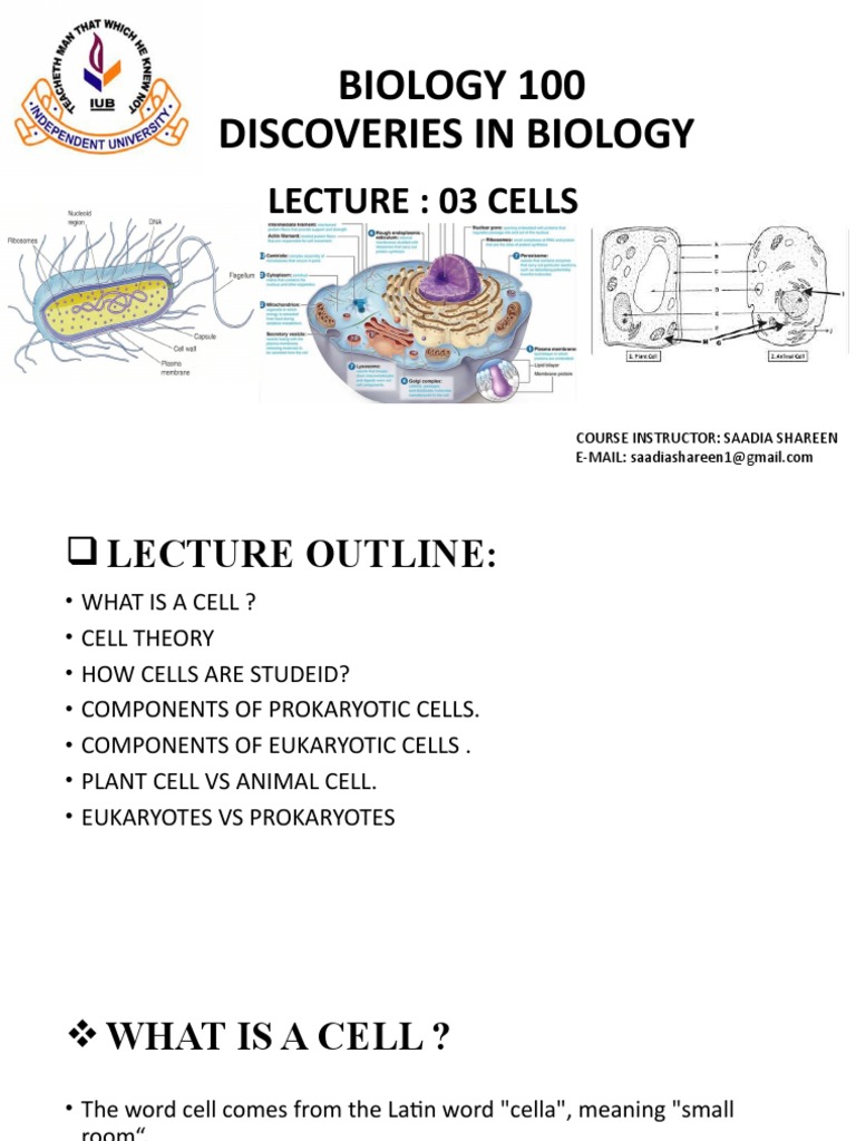 Biology 100 Discoveries in Biology: Lecture: 03 Cells | PDF | Cell ...