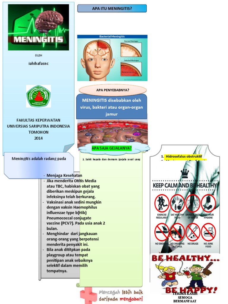 Leaflet Meningitis | PDF