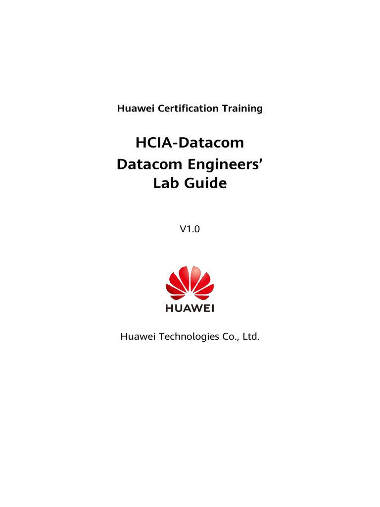 HCIA-Datacom V1.0 Lab Guide | PDF | Command Line Interface | Computer Network