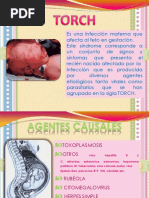 Sindrome de Torch | PDF | Herpes Simple | El embarazo