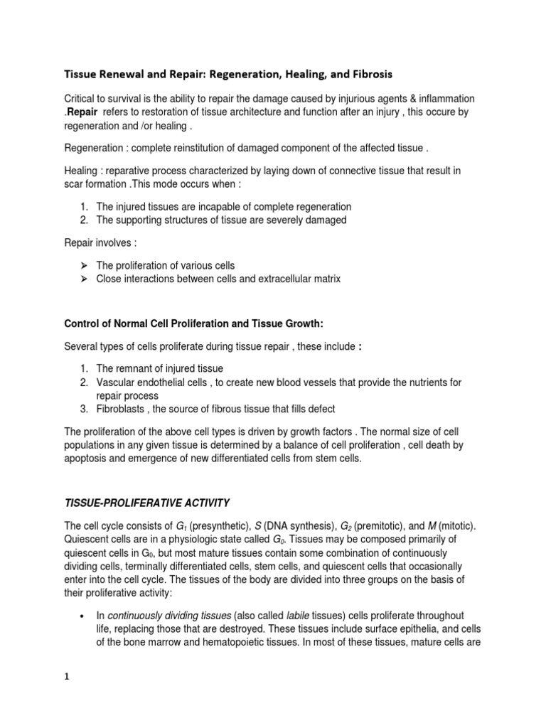 Tissue Renewal and Repair Regeneration | PDF | Wound Healing ...