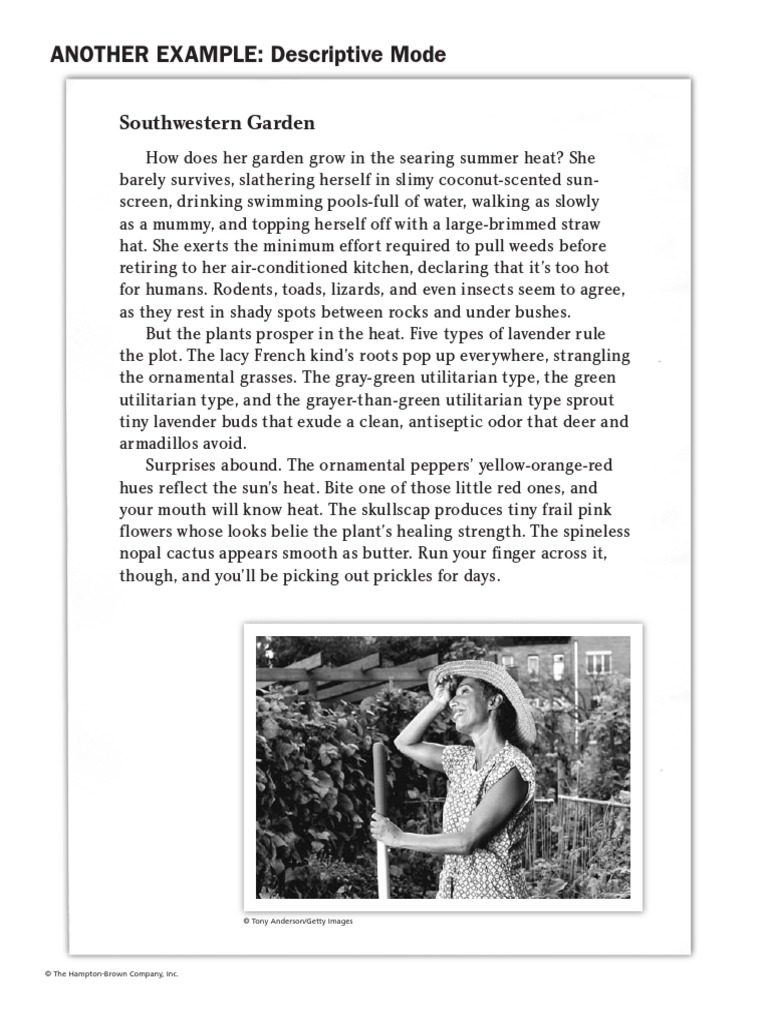Another Example: Descriptive Mode: Southwestern Garden | PDF