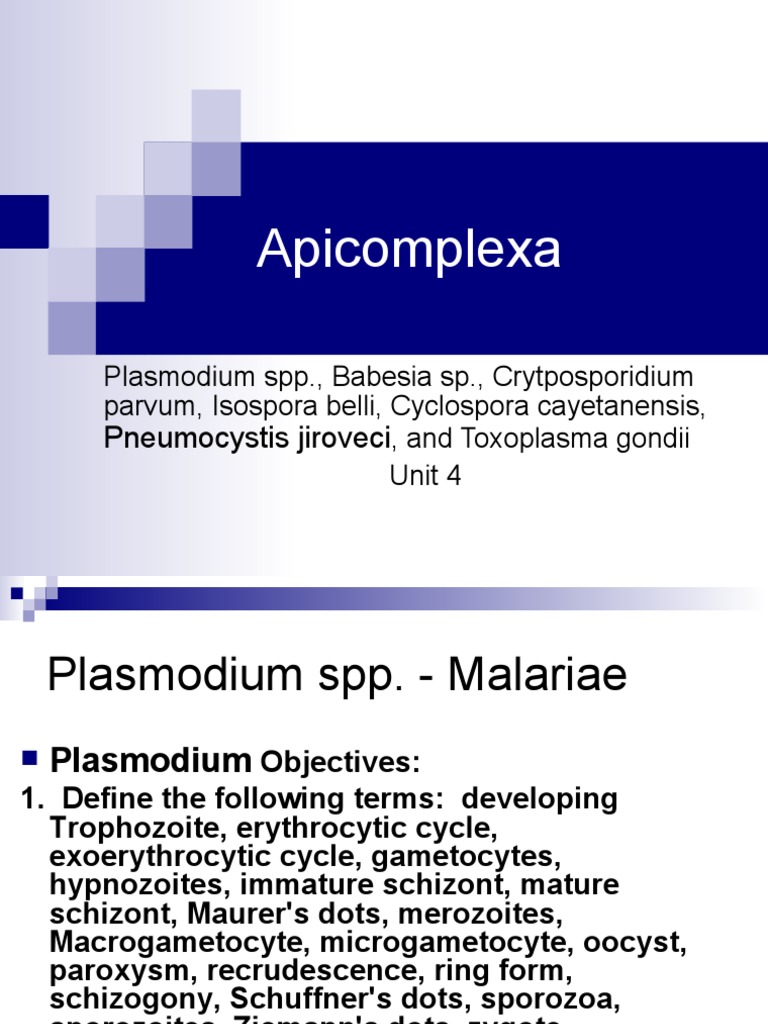 Unit 4 Apicomplexa Malaria-1 | PDF | Plasmodium Falciparum | Malaria