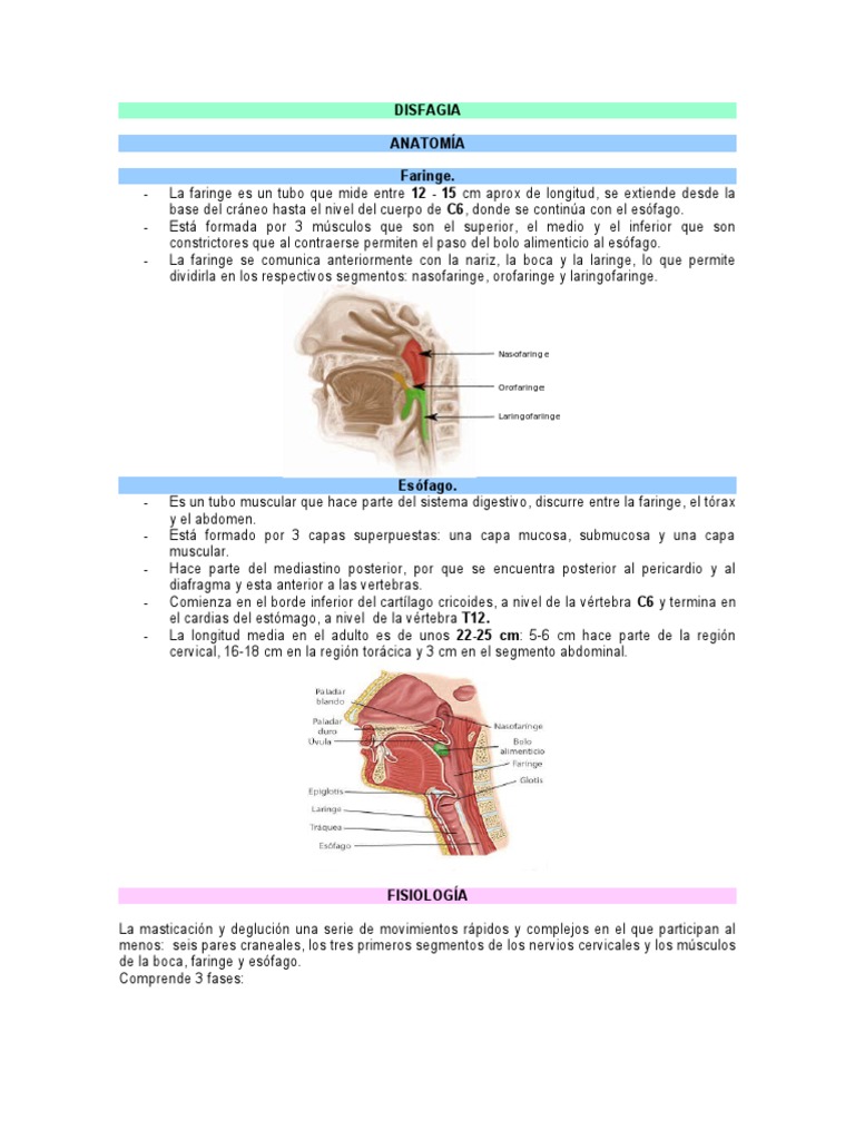 Disfagia | PDF | Esófago | Abdomen