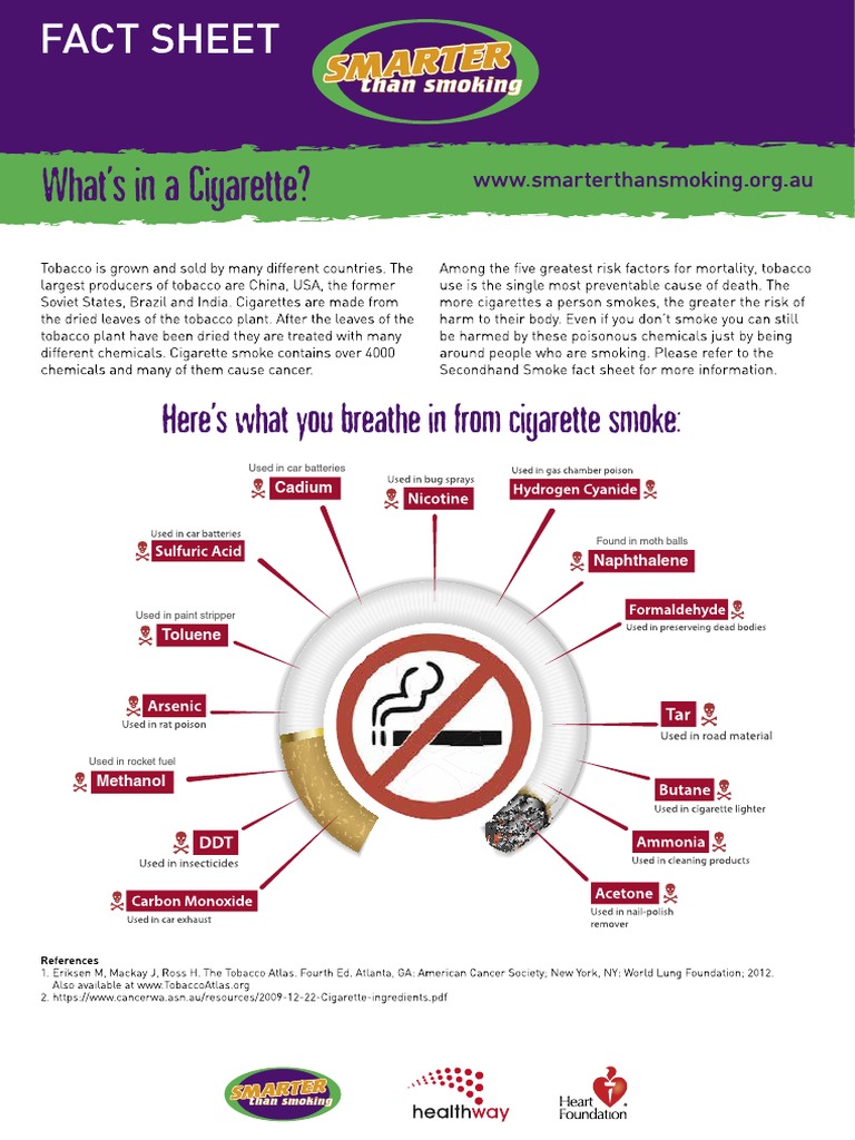 Whats in A Cigarette | PDF