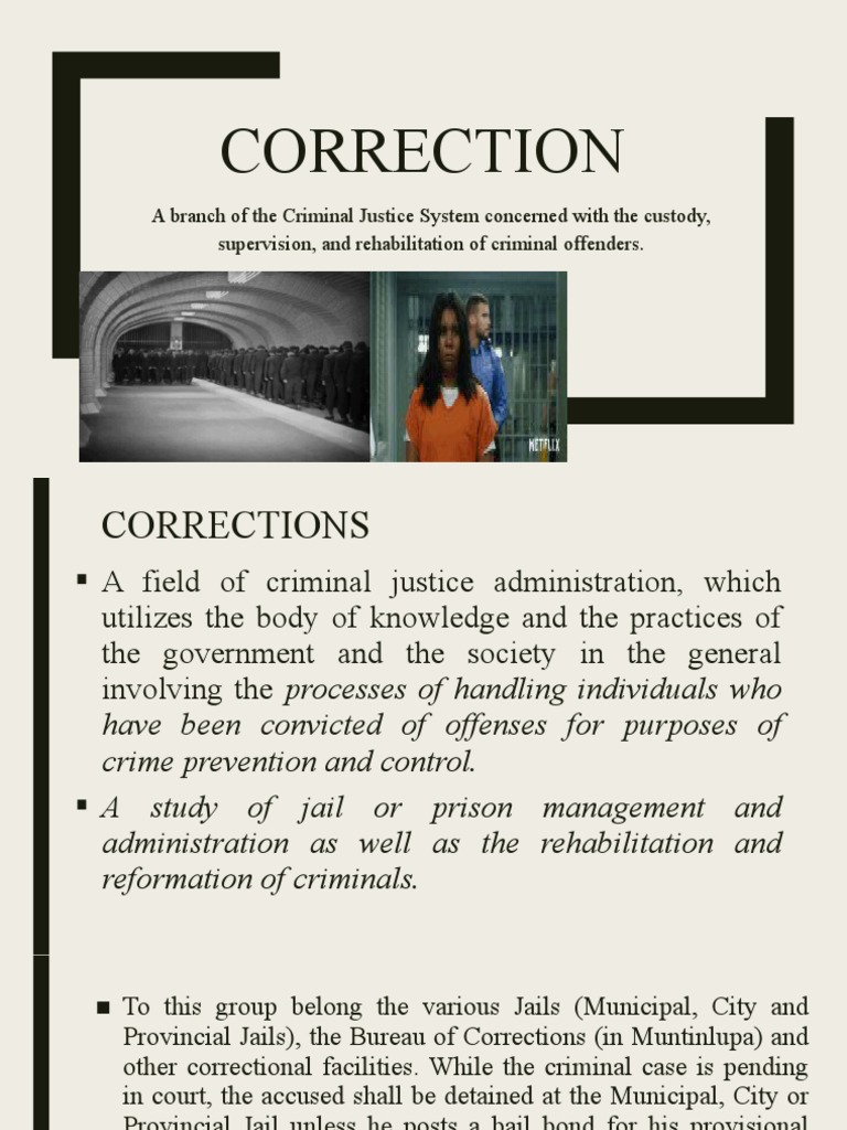 CORRECTION | PDF | Corrections | Prison