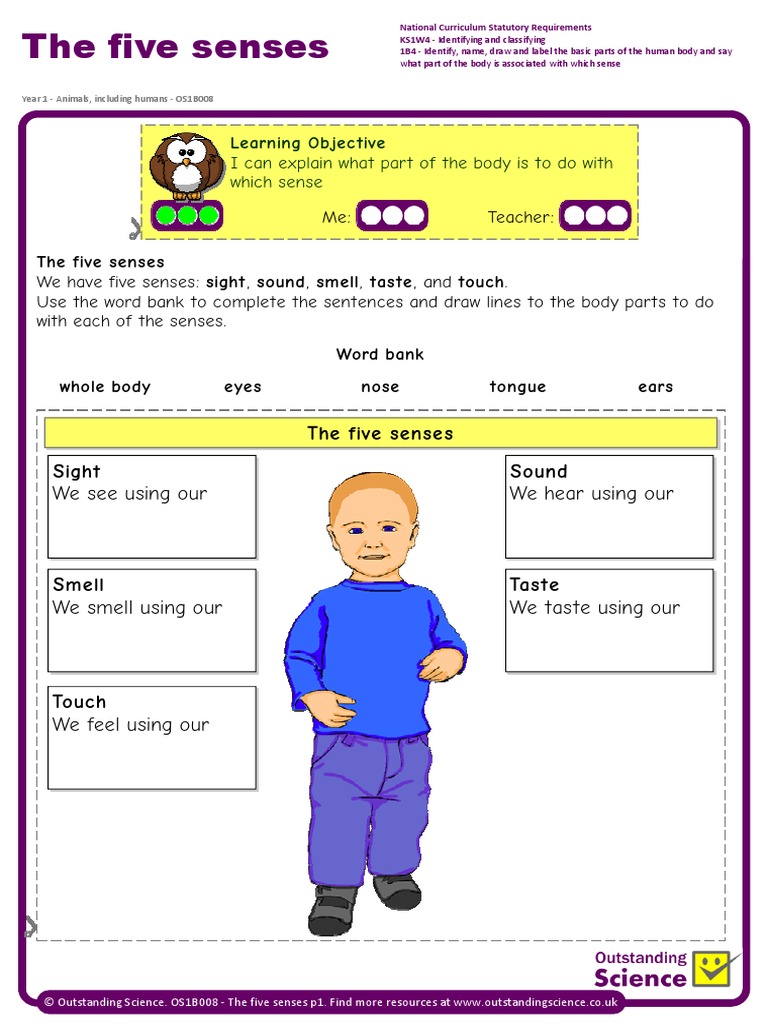 Science Year 1 | PDF