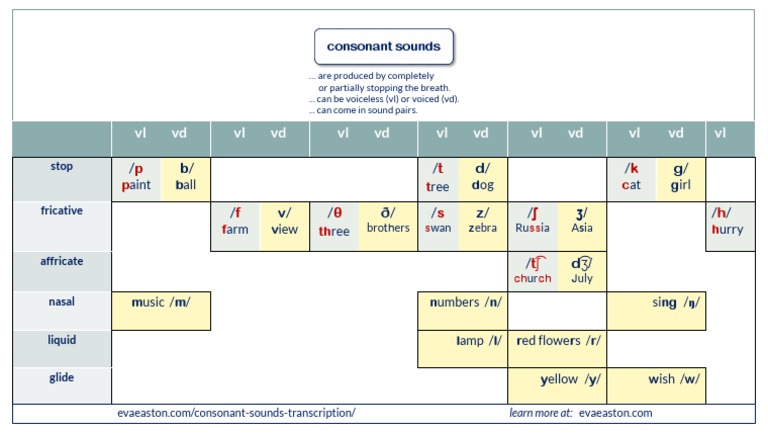 Consonant Sounds and Articulation Charts | PDF | Art