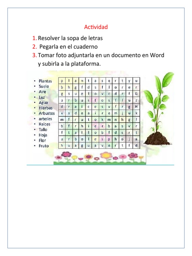 Sopa de Letras Sobre Las Plantas | PDF