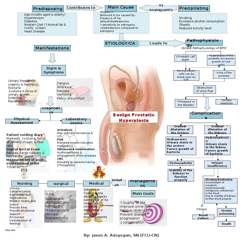 Benign Prostatic Hyperplasia Concept Map | PDF | Medical Specialties | Epidemiology