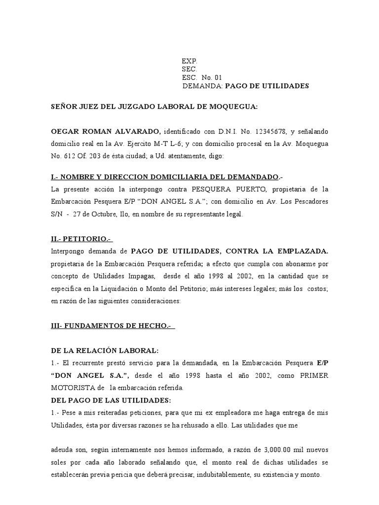 DEMANDAS | PDF | Demanda judicial | Derecho Constitucional