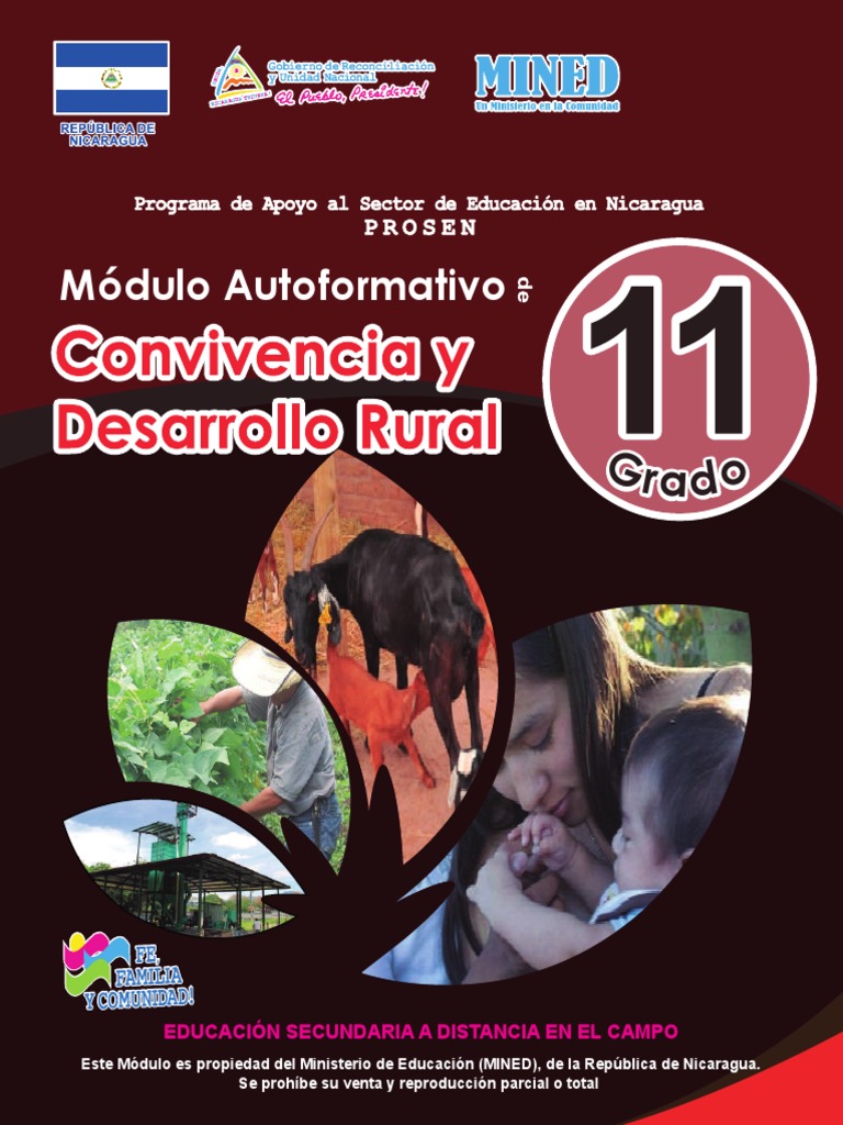 11 MO CyDR Tema1 | PDF | Calle | Peatonal