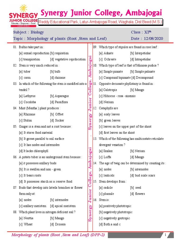Biology DPP 2 - Morphology of Plants (Root, Stem and Leaf) | Download ...