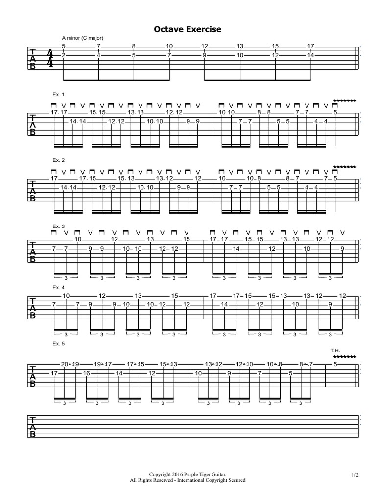 Octave Exercise PDF | PDF | Freedom Of Expression Law | Copyright Law