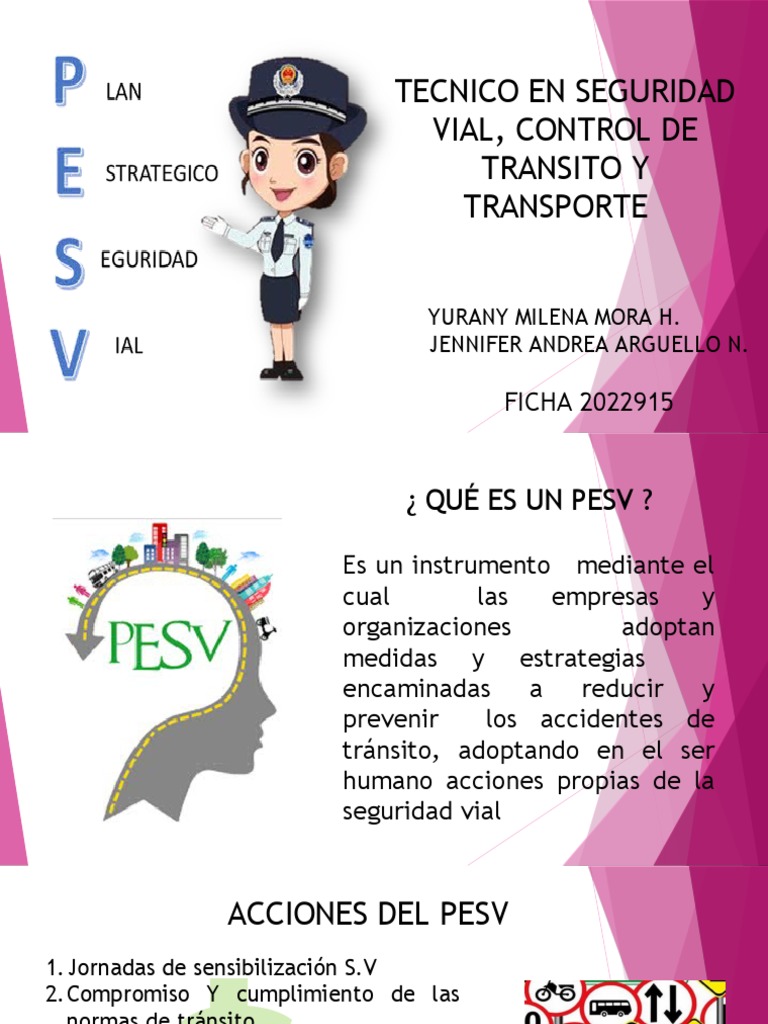 Caracteristicas Del Pesv | PDF | Seguridad vial | Hospital