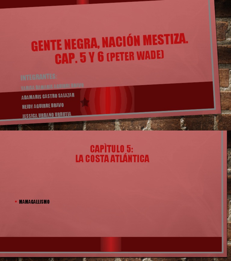 Gente Negra, Nación Mestiza (Autoguardado) | PDF | Ciencias sociales