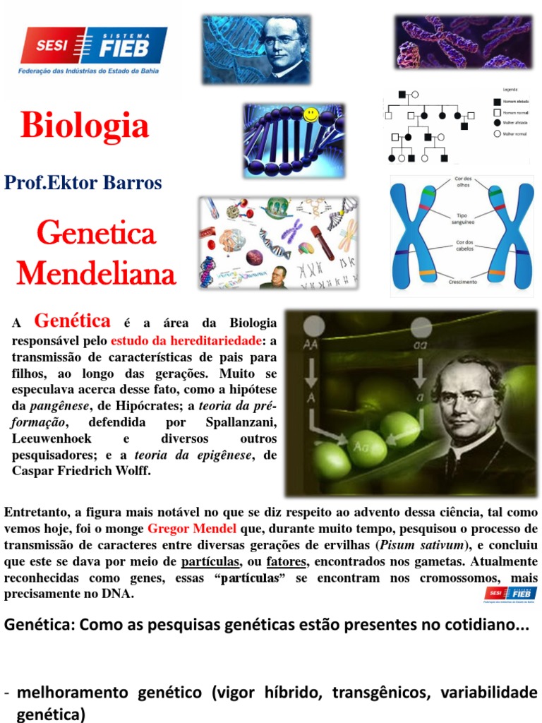 Genetica Mendeliana - Aula 1 | PDF | Dominância (genética) | Genótipo