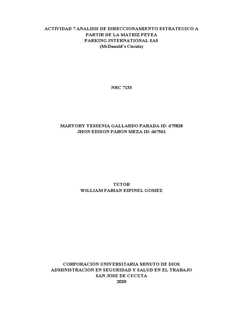 Matriz Peyea | PDF | Business | Economias