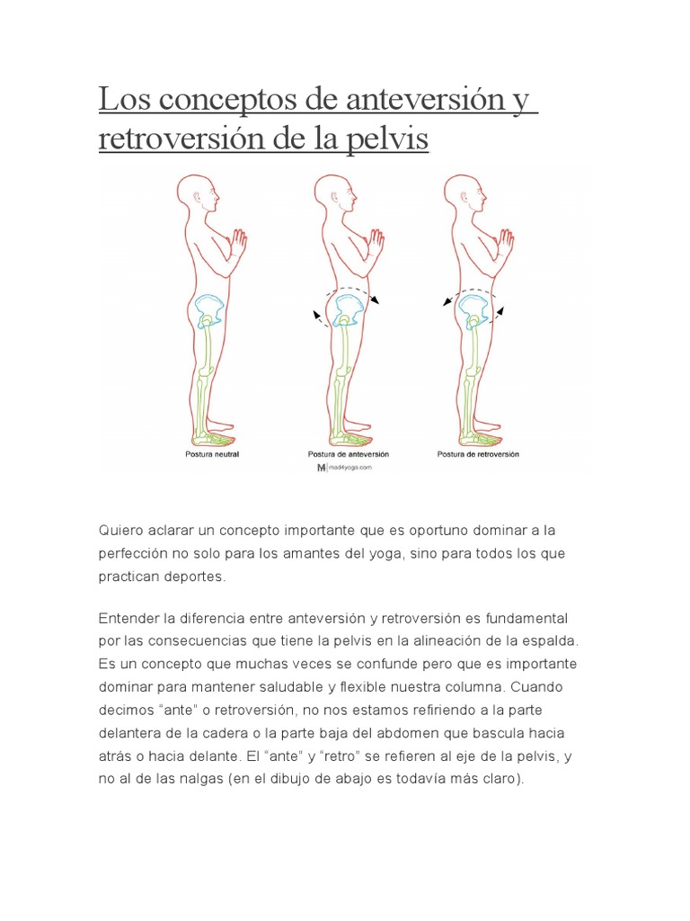 Los Conceptos de Anteversión y Retroversión de La Pelvis | PDF