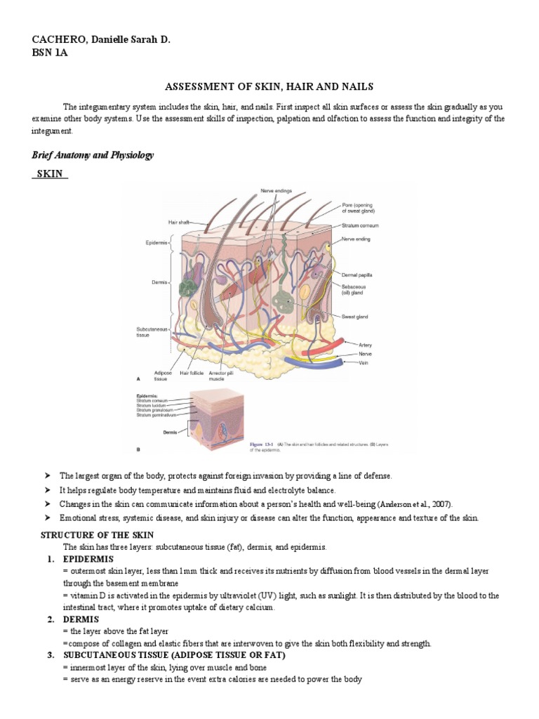 An Assessment of the Integumentary System: A Comprehensive Examination ...