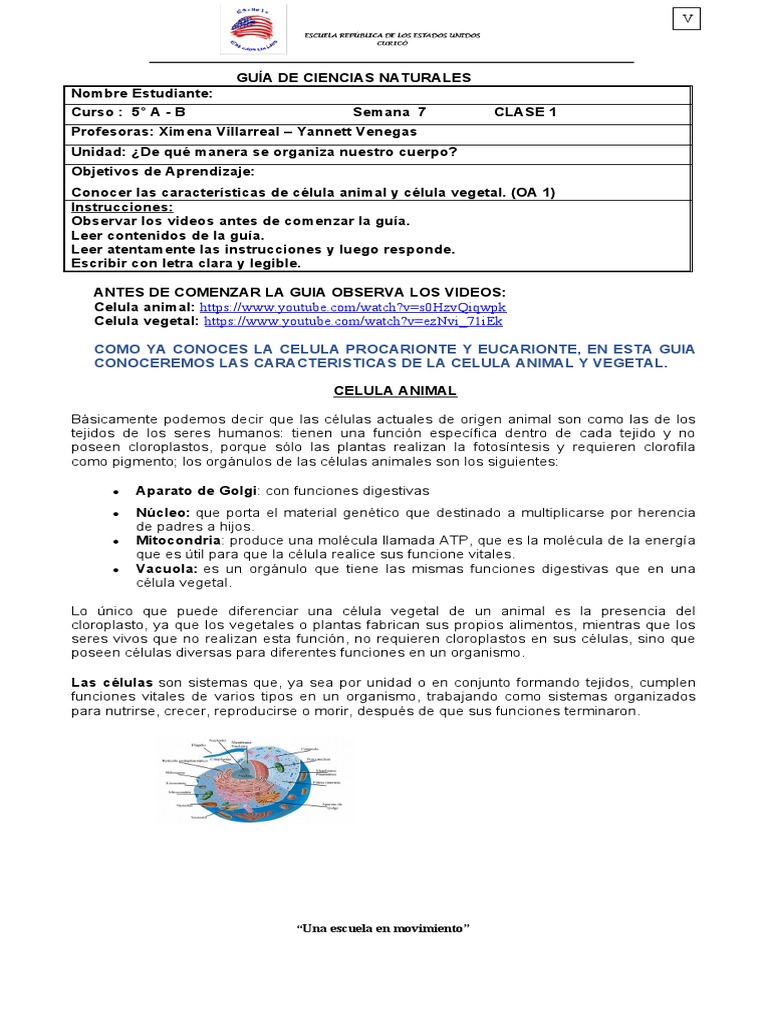 Semana 7 Ciencias | PDF | Plantas | Biología Celular)