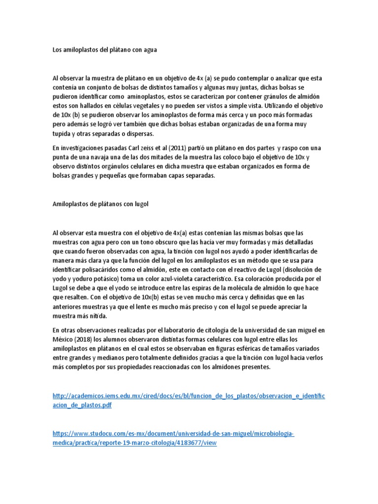 Amiloplastos de plátano al microscopio | PDF | Almidón | Tinción
