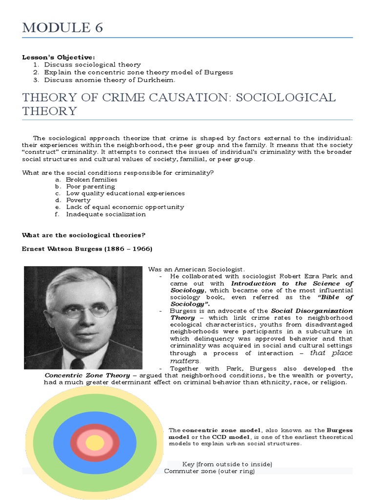 Theory of Crime Causation: Sociological Theory | PDF | Sociology ...