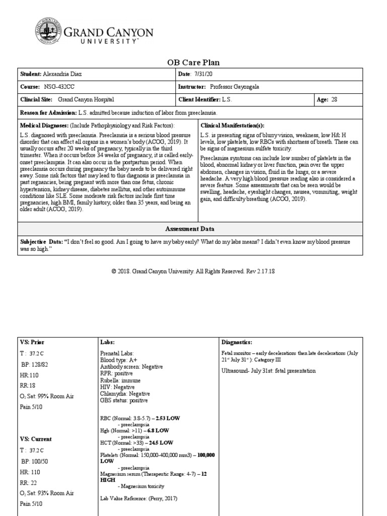 OB Care Plan: Assessment Data | PDF | Pregnancy | Childbirth