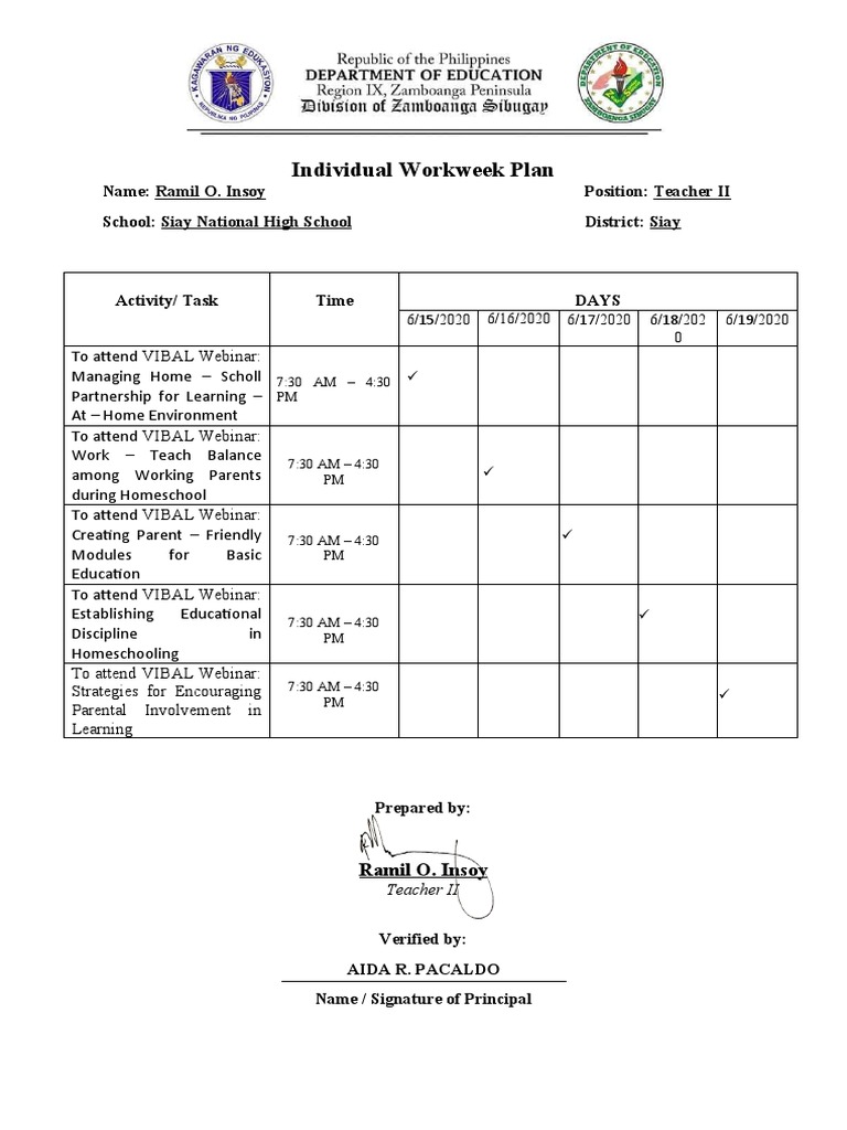 Individual Workweek Plan: Ramil O. Insoy | PDF