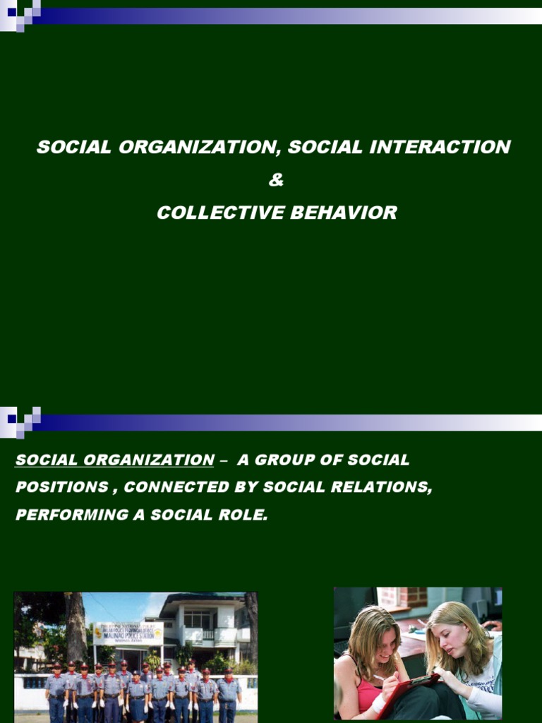 Social Organization, Social Interaction & Collective Behavior | PDF ...