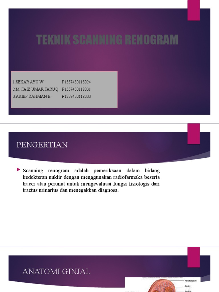 Scanning Renogram | PDF