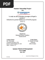 NCCS: New Consumer Classification System | PDF | Economies | Business