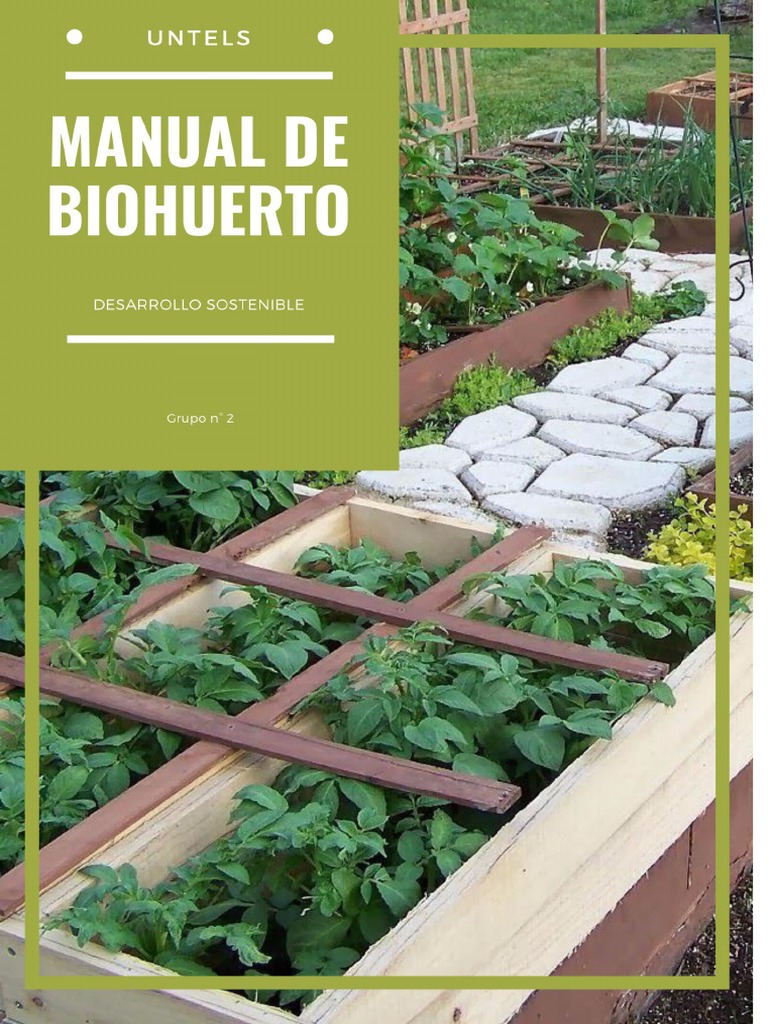 Manual Biohuerto-Grupo 2 | PDF | Ajo | Agricultura