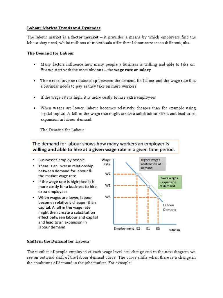 Labour Market Trends and Dynamics | PDF | Labour Economics | Workforce