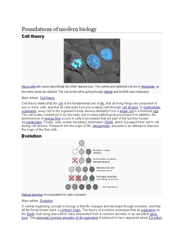 Foundations of Modern Biology | PDF | Biology | Evolution