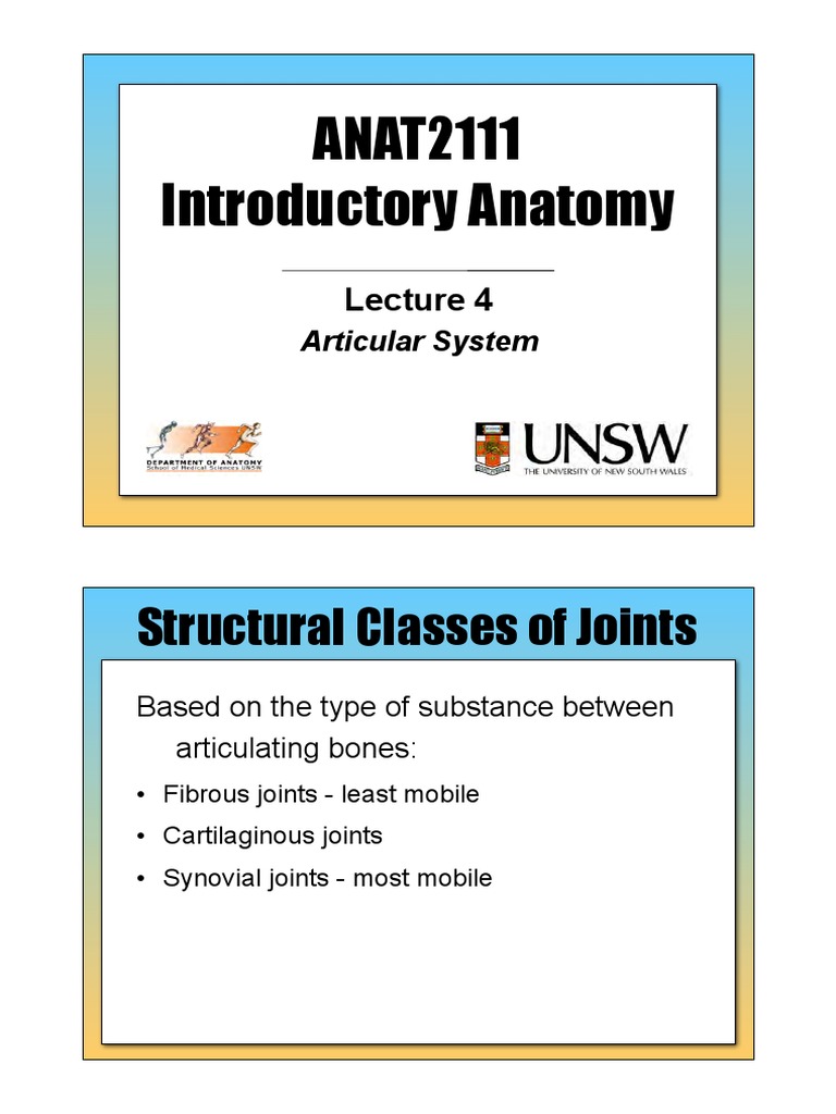 ANAT2111 - Lecture 4 - Articular System PDF | PDF | Knee | Shoulder