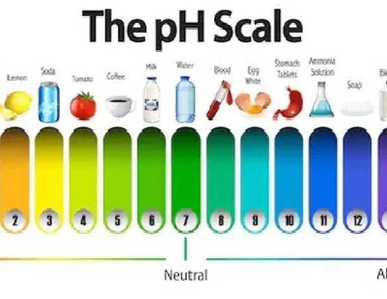 PH Scale PDF | PDF
