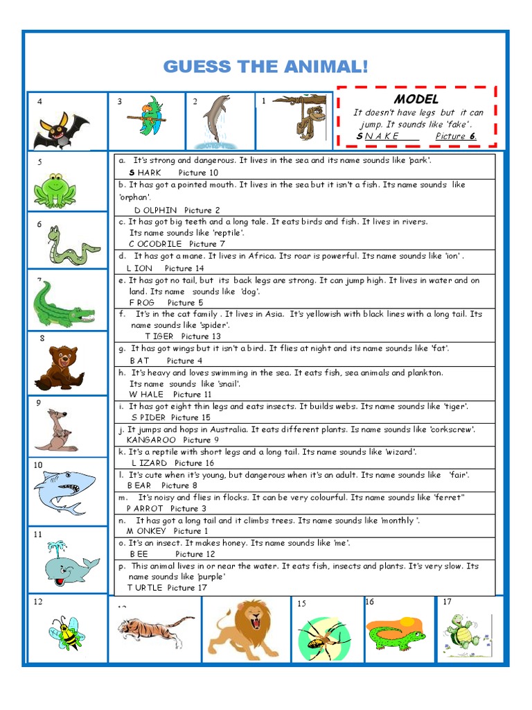 Guess The Animal!: Model | PDF | Birds | Organisms