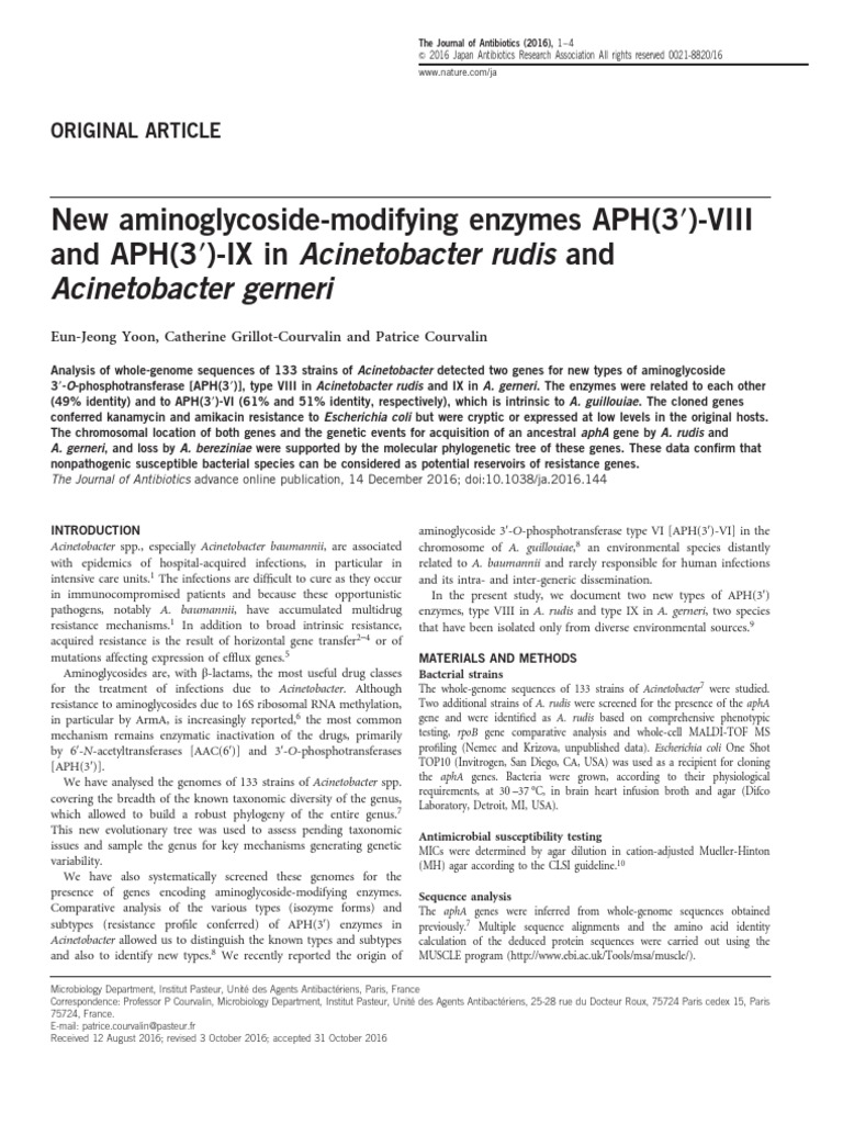 New Aminoglycoside-Modifying Enzymes APH (3 ) - VIII and APH (3 ) - IX ...